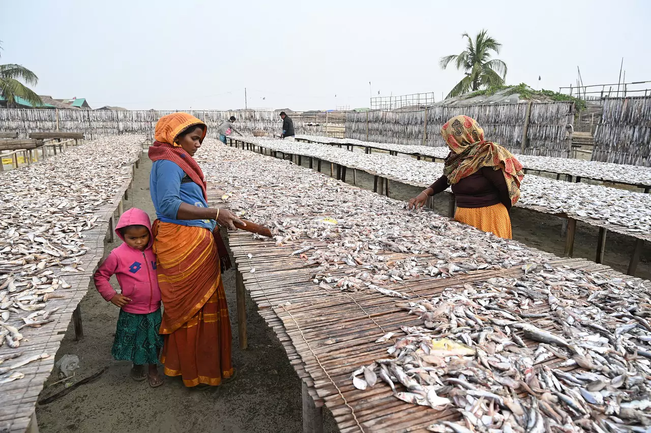 Female labour force participation (FLFPR) rate: India can learn from ...